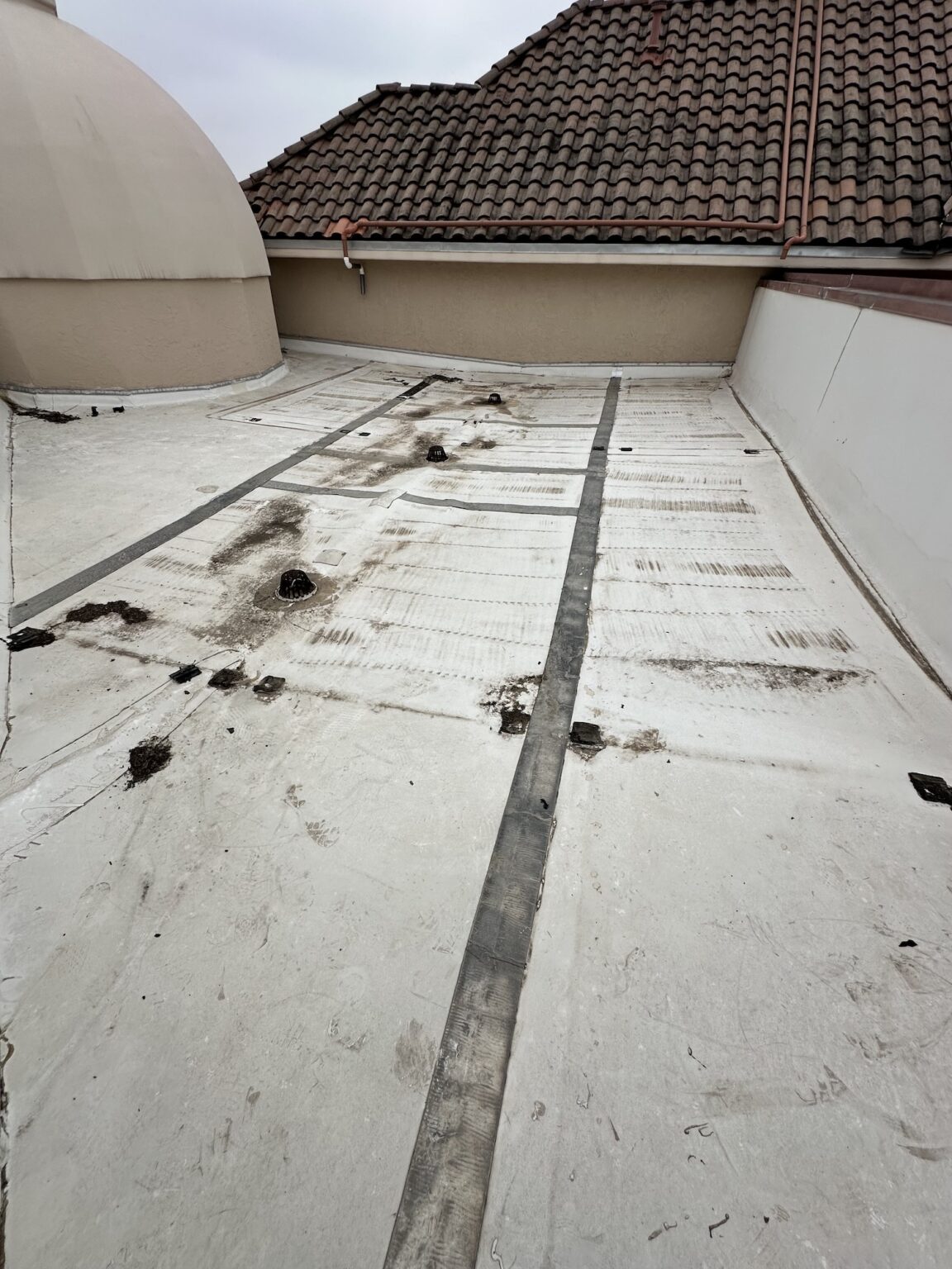 Case Study: How We Fixed a Leaking TPO Roof Fast